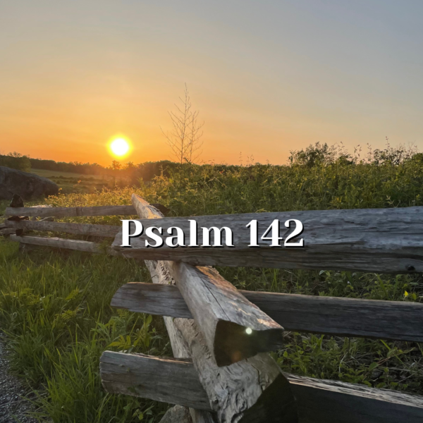 Psalm 142 — Known by God — Reading the Psalms - Psalms for Kids Psalm 142 — Known by God — Reading the Psalms - Psalms for Kids
